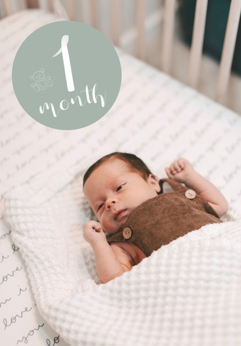 Colorful Nuetral Baby Monthly Milestone Stickers for Social Media ...