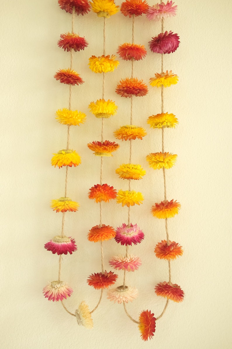 Set of 5 Strings 7ft Random Color Garland, Dried Flower Garland, Dried ...