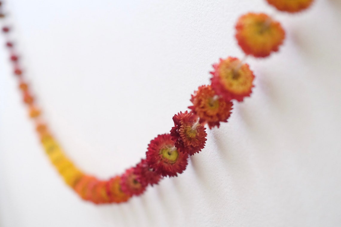 10ft Dried Flower Garland Dried Strawflowers Garland | Etsy