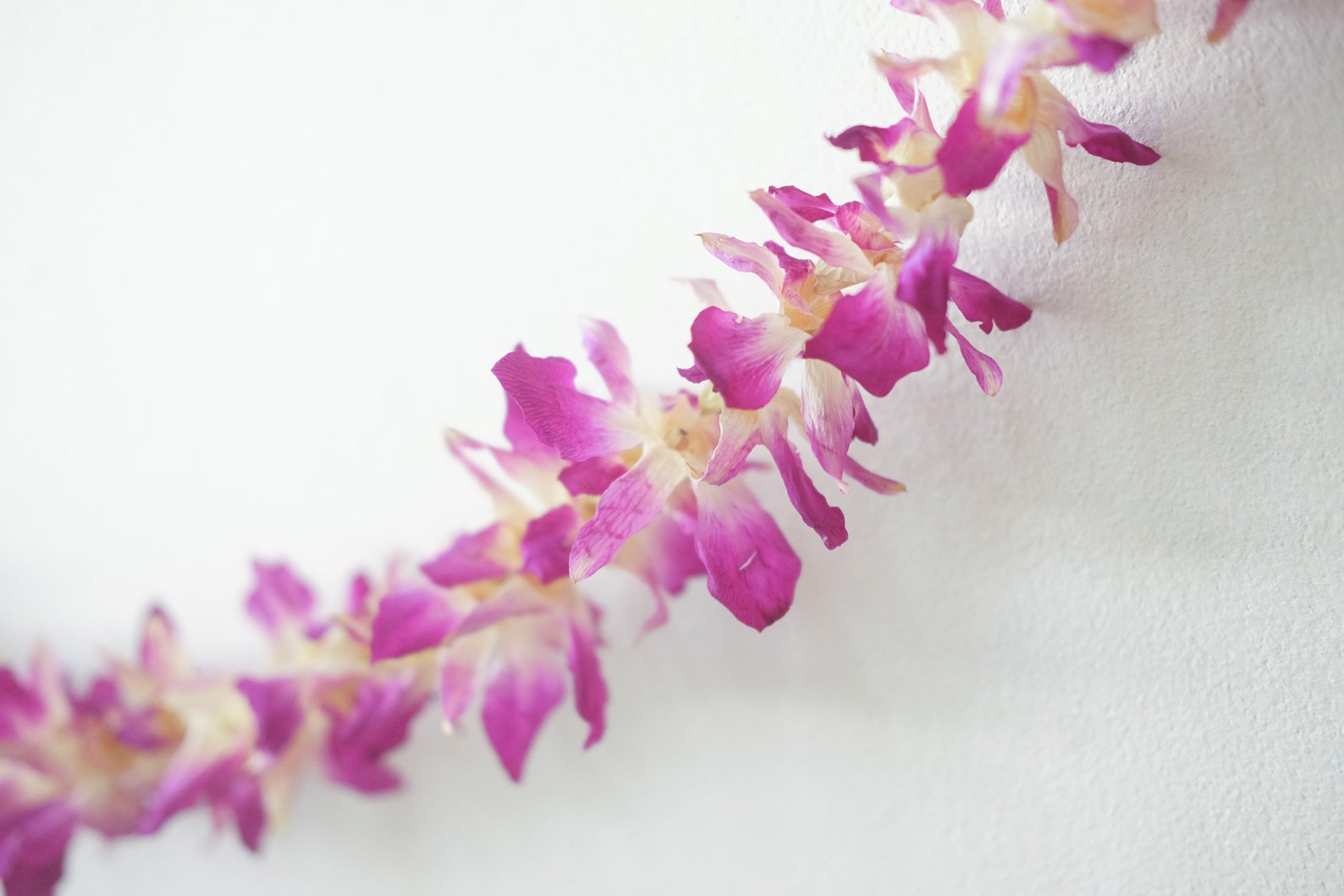4ft Dried Purple Orchids Garland Real Flower Garland Dried - Etsy