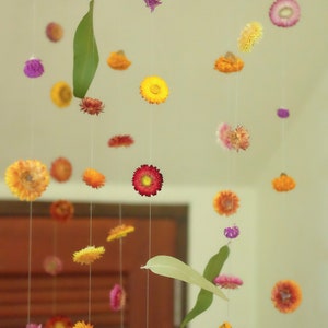 Set of 8 Strings 5ft Dried Flowers Garland, Real Dried Flower String ...