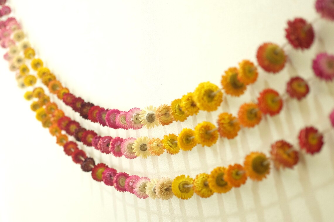 10ft Dried Flower Garland Dried Strawflowers Garland | Etsy