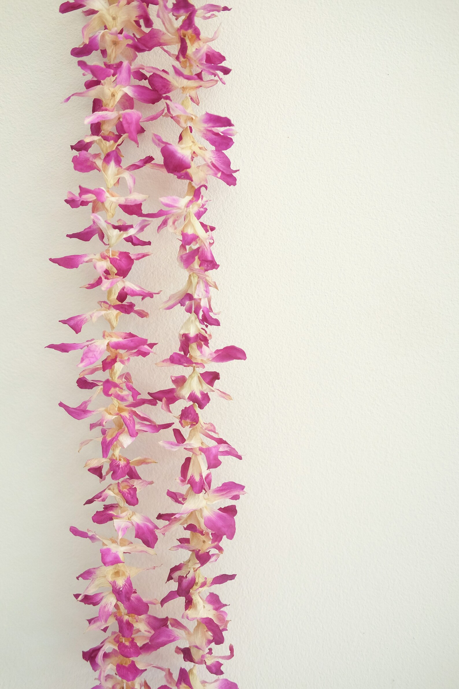 4ft Dried Purple Orchids Garland Real Flower Garland Dried - Etsy