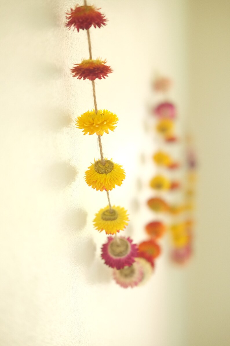 Set of 5 Strings 7ft Random Color Garland, Dried Flower Garland, Dried ...