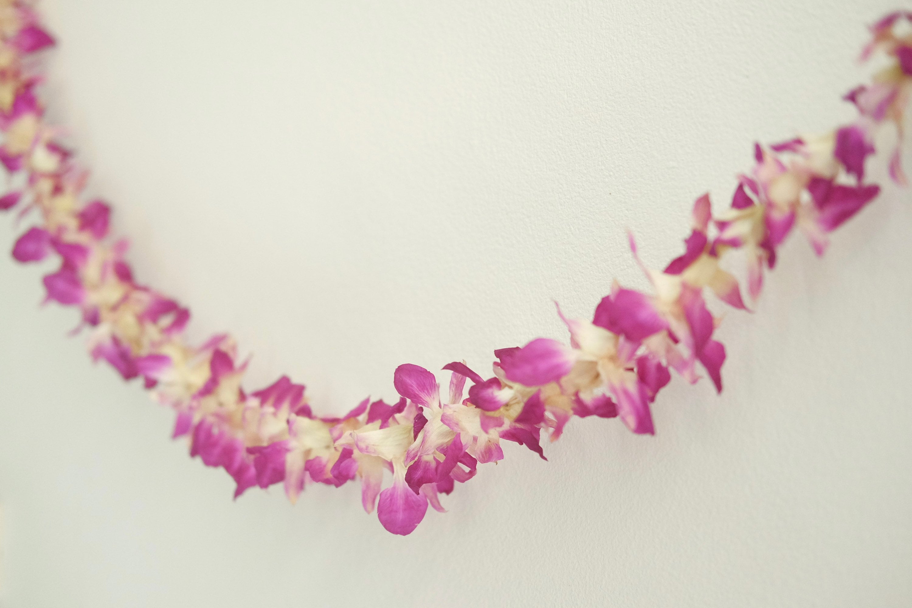 4ft Dried Purple Orchids Garland Real Flower Garland Dried - Etsy