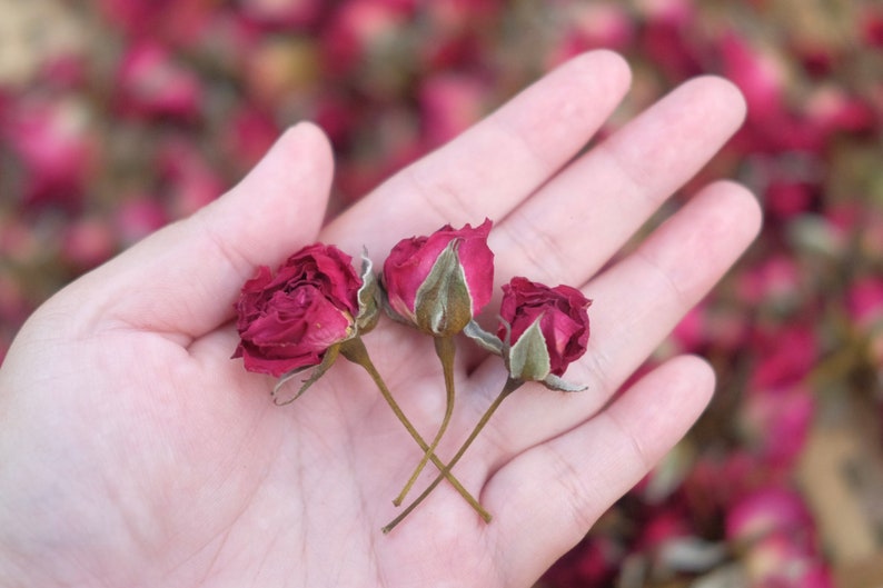 100 Dried Red Roses for Craft Wedding Decor Dried Flower DIY - Etsy