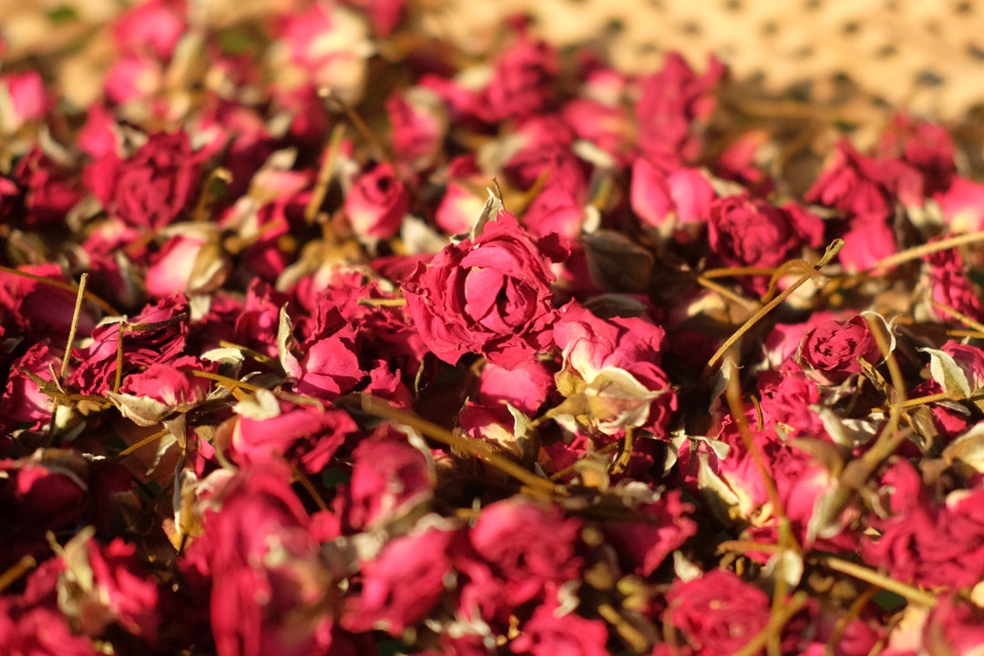 100 Dried Red Roses for Craft Wedding Decor Dried Flower DIY Supply ...
