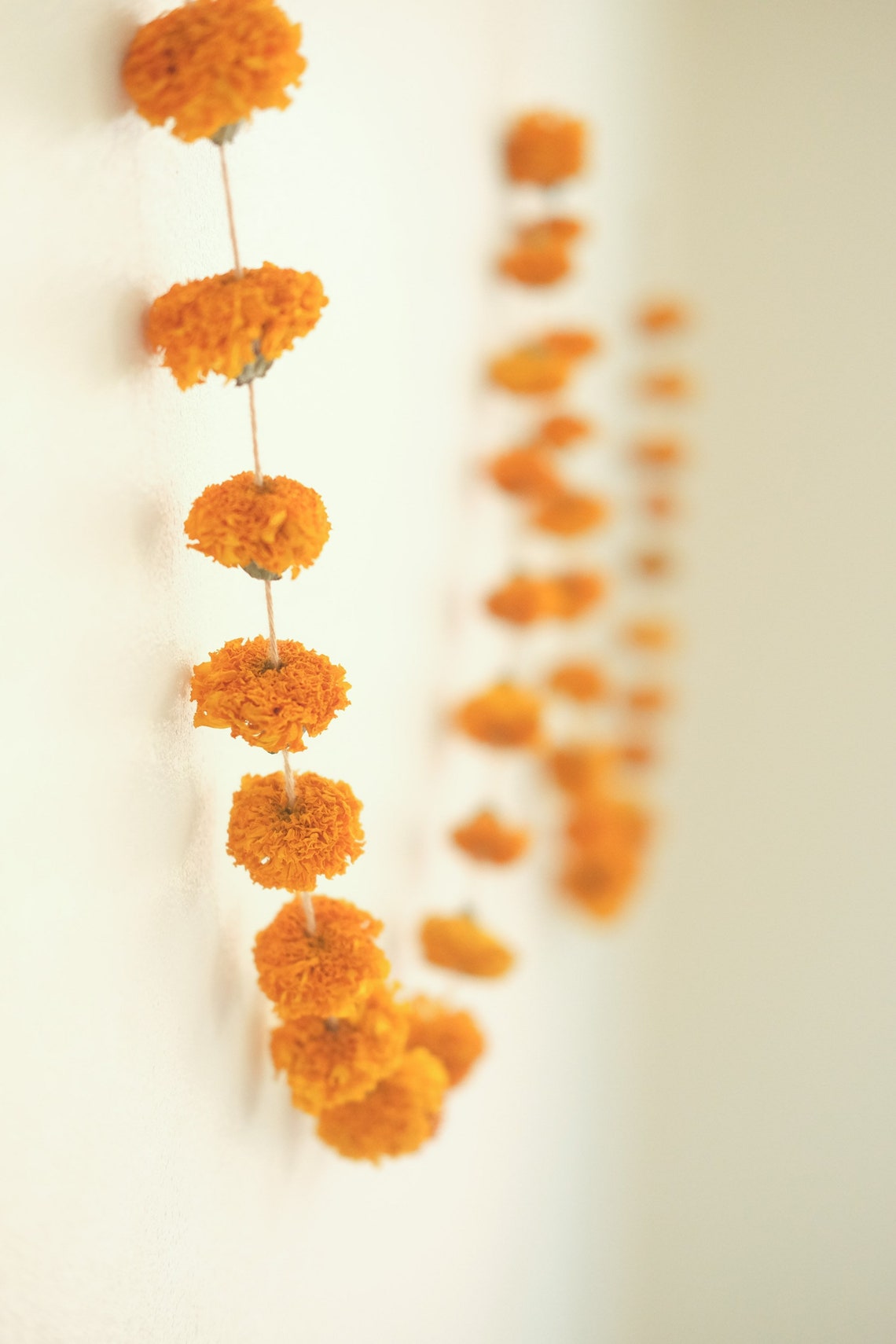 15ft Dried Marigold Flower Garland, Real Dried Flower Garland, Wedding ...