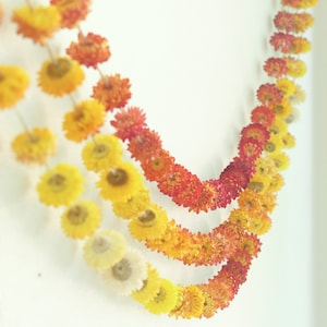 Set of 3 Strings 7ft Medium-size Dried Strawflower Garland, Dried ...