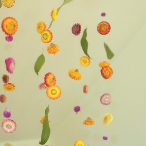 Set of 8 Strings 5ft Dried Flowers Garland, Real Dried Flower String ...