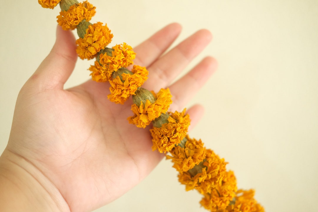 7ft Dried Small Marigold Flower Garland, Real Dried Flower Garland ...