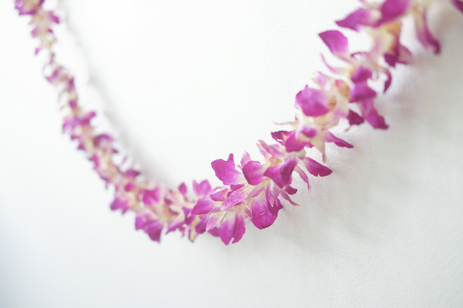 4ft Dried Purple Orchids Garland Real Flower Garland Dried - Etsy