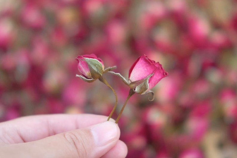 100 Dried Red Roses for Craft Wedding Decor Dried Flower DIY Supply ...