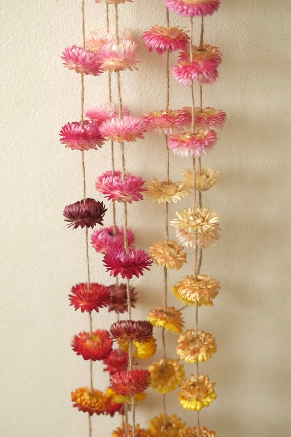 superior quality Set of 3 strings 7ft Medium-Size Dried Strawflower ...