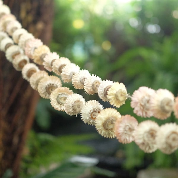 White Flower Garland 8ft - Etsy