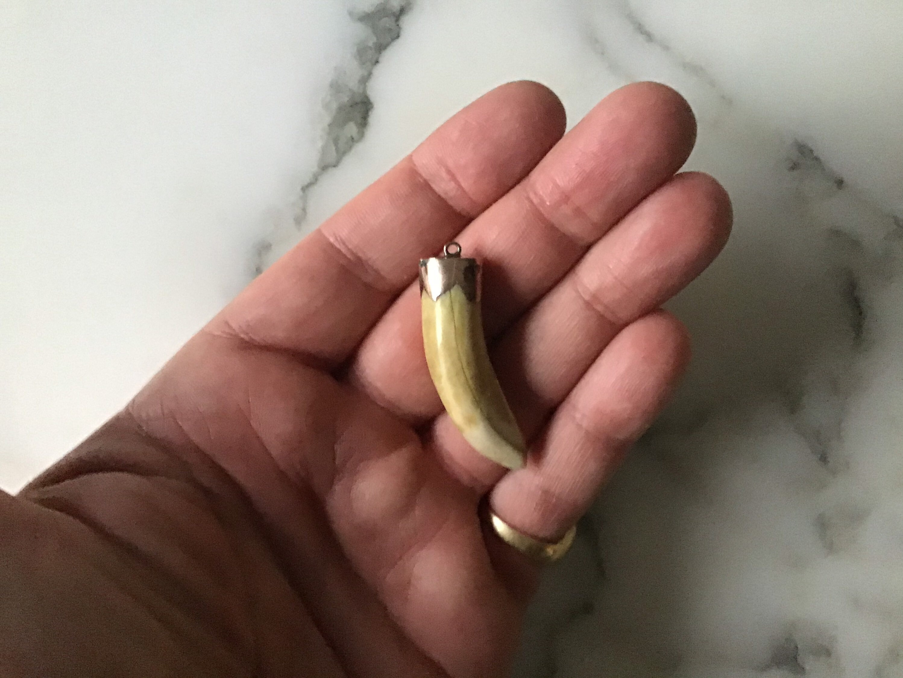 A Late Victorian 9 Carat Gold Mounted Animal Tooth Pendant. - Etsy