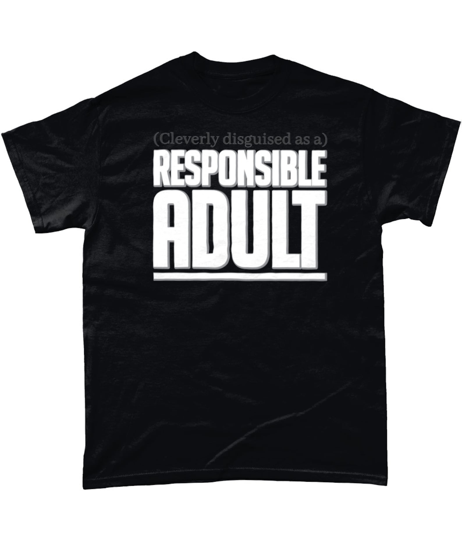 005 RESPONSIBLE ADULT Mens Funny Black T-shirts Novelty T | Etsy