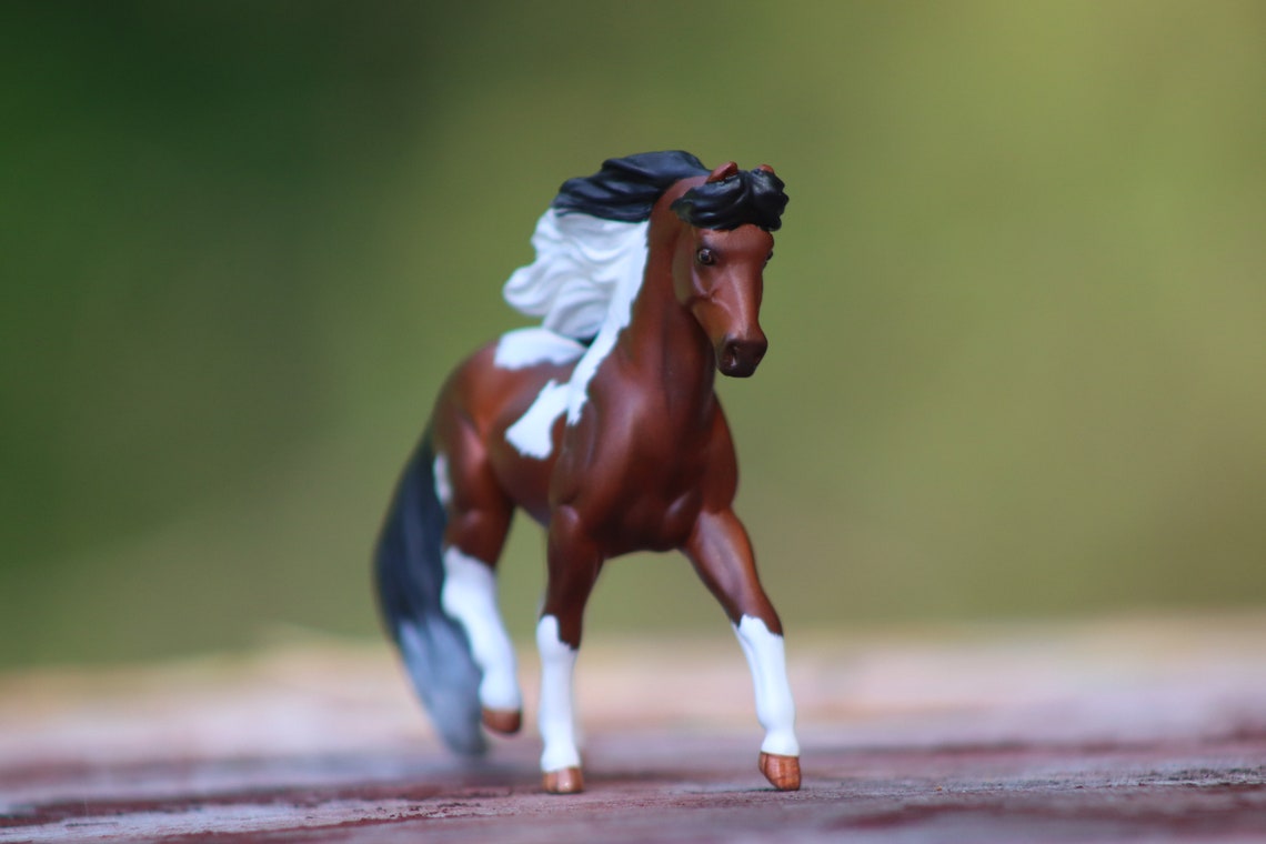 Custom Stablemate Pinto LSP - Etsy