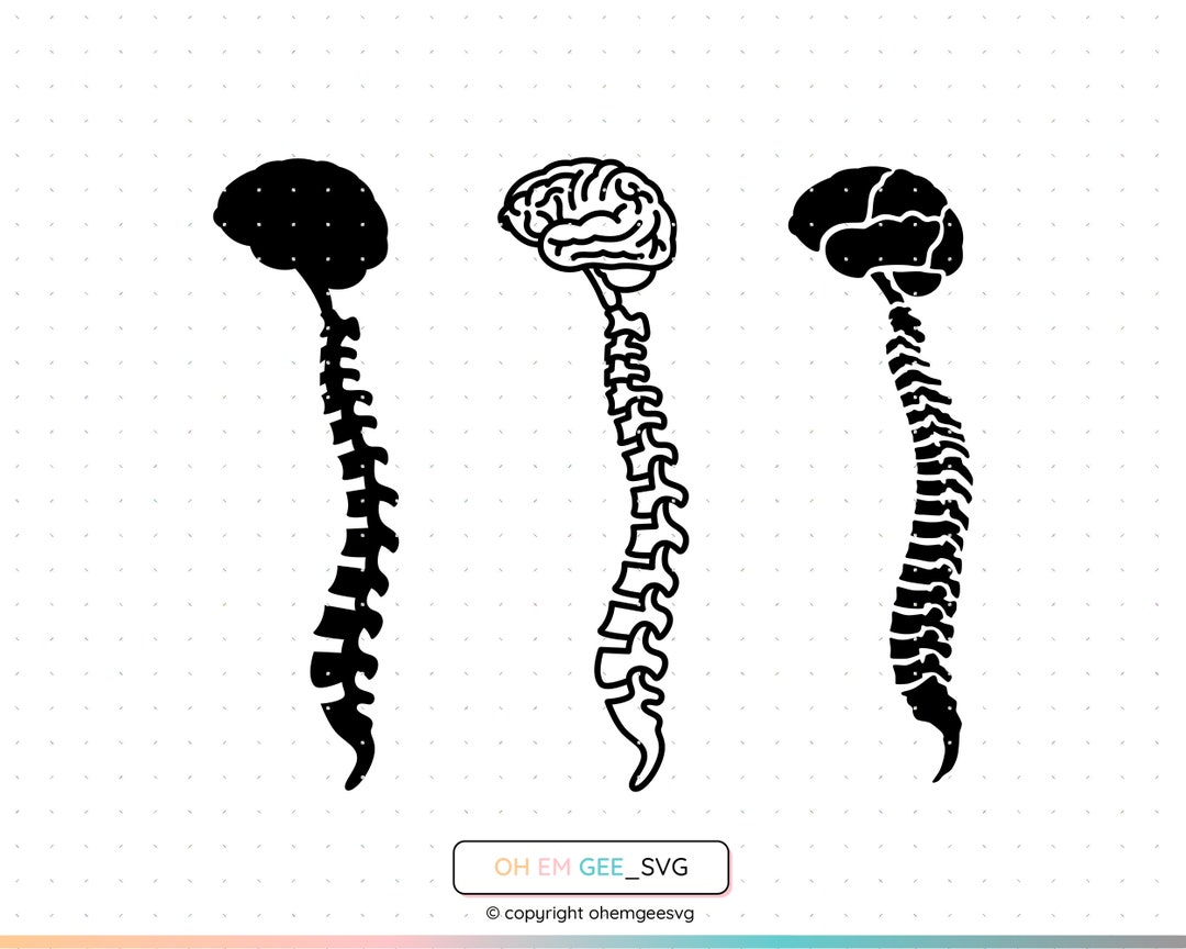 Brain and Spine Svg, Brain Spine Clipart, Brain Png, Spine Dxf, Brain ...