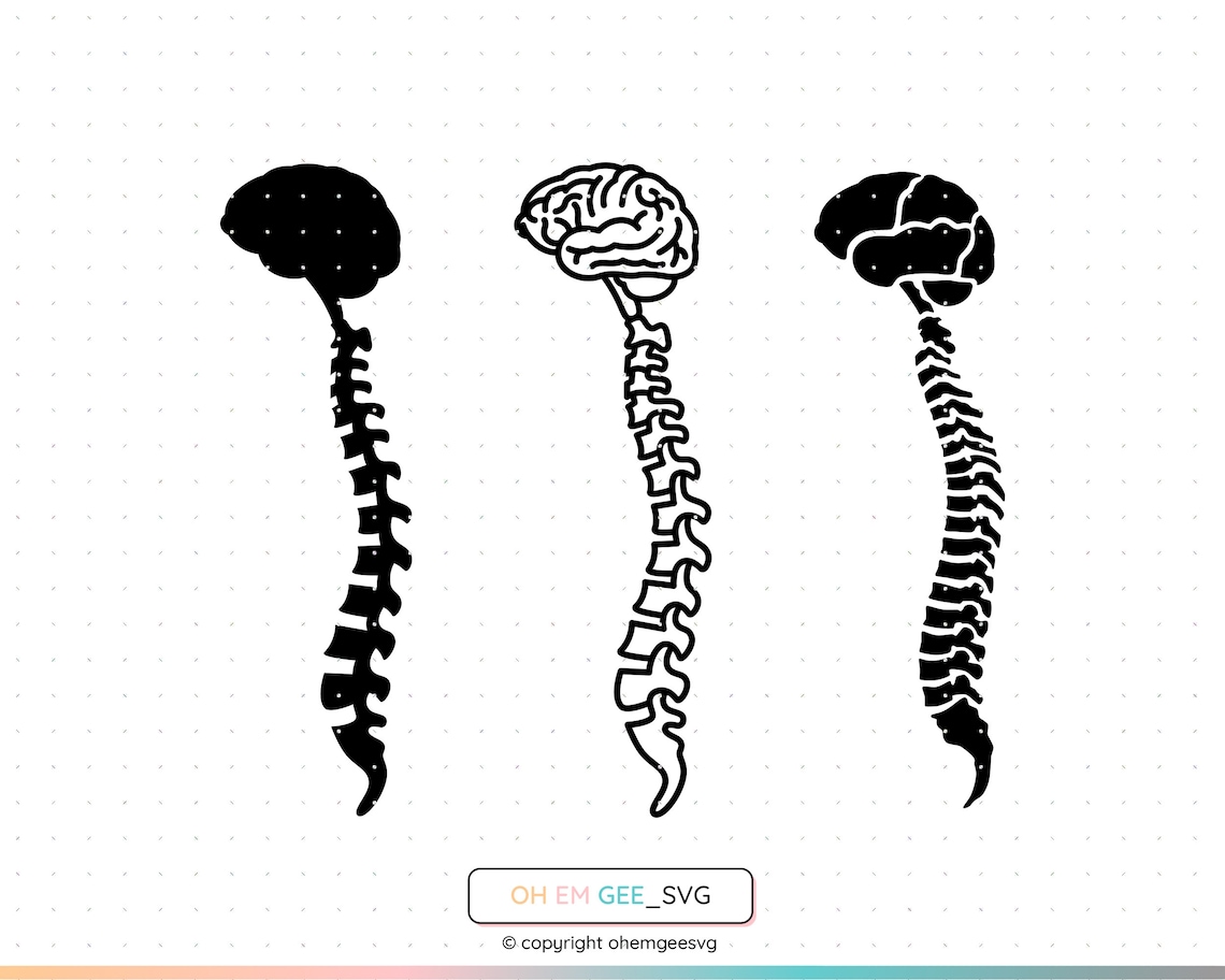 Brain and Spine Svg Brain Spine Clipart Brain Png Spine - Etsy