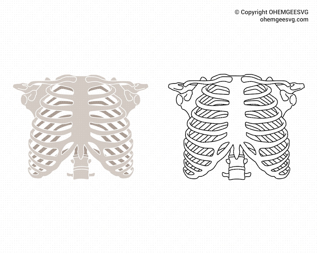 Human Rib Cage SVG, Skeleton SVG, Rib Cage SVG, Human Anatomy Svg ...