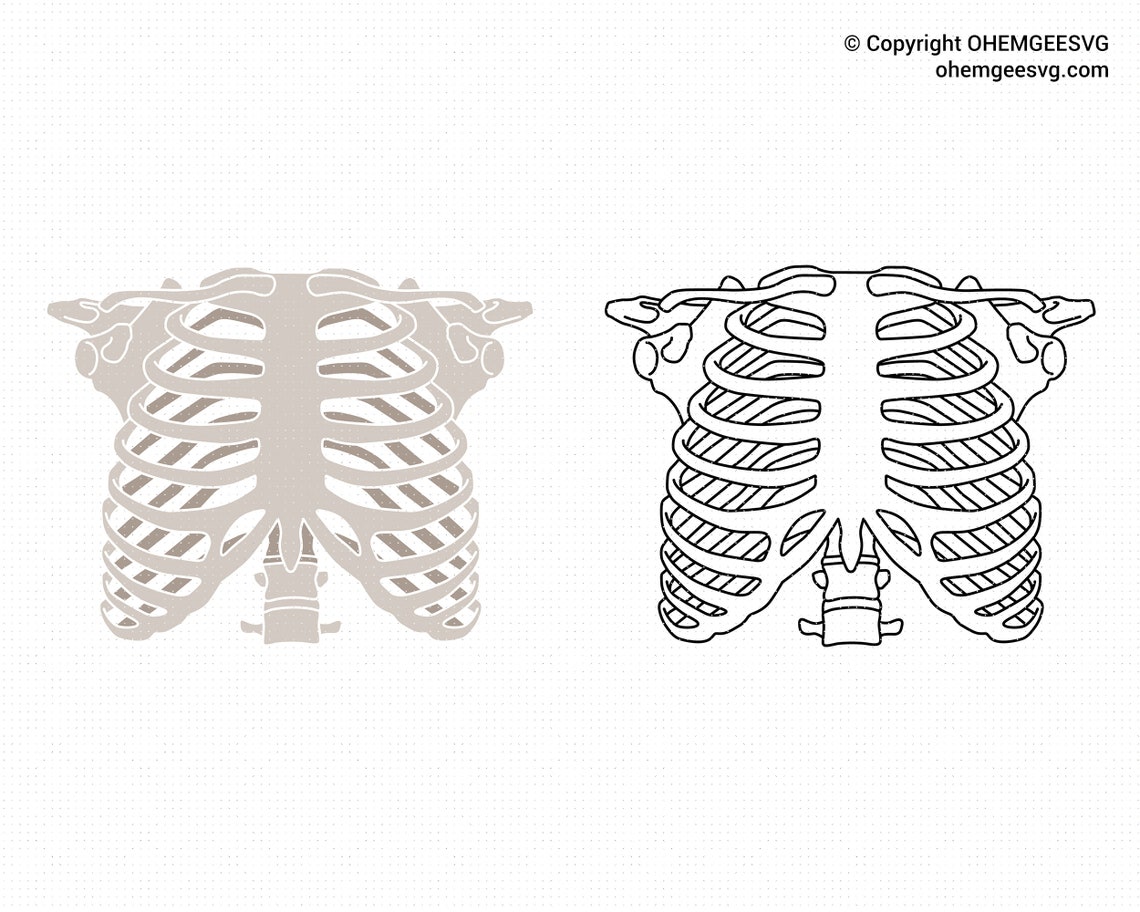 Human Rib Cage SVG Skeleton SVG Rib Cage SVG Human Anatomy - Etsy