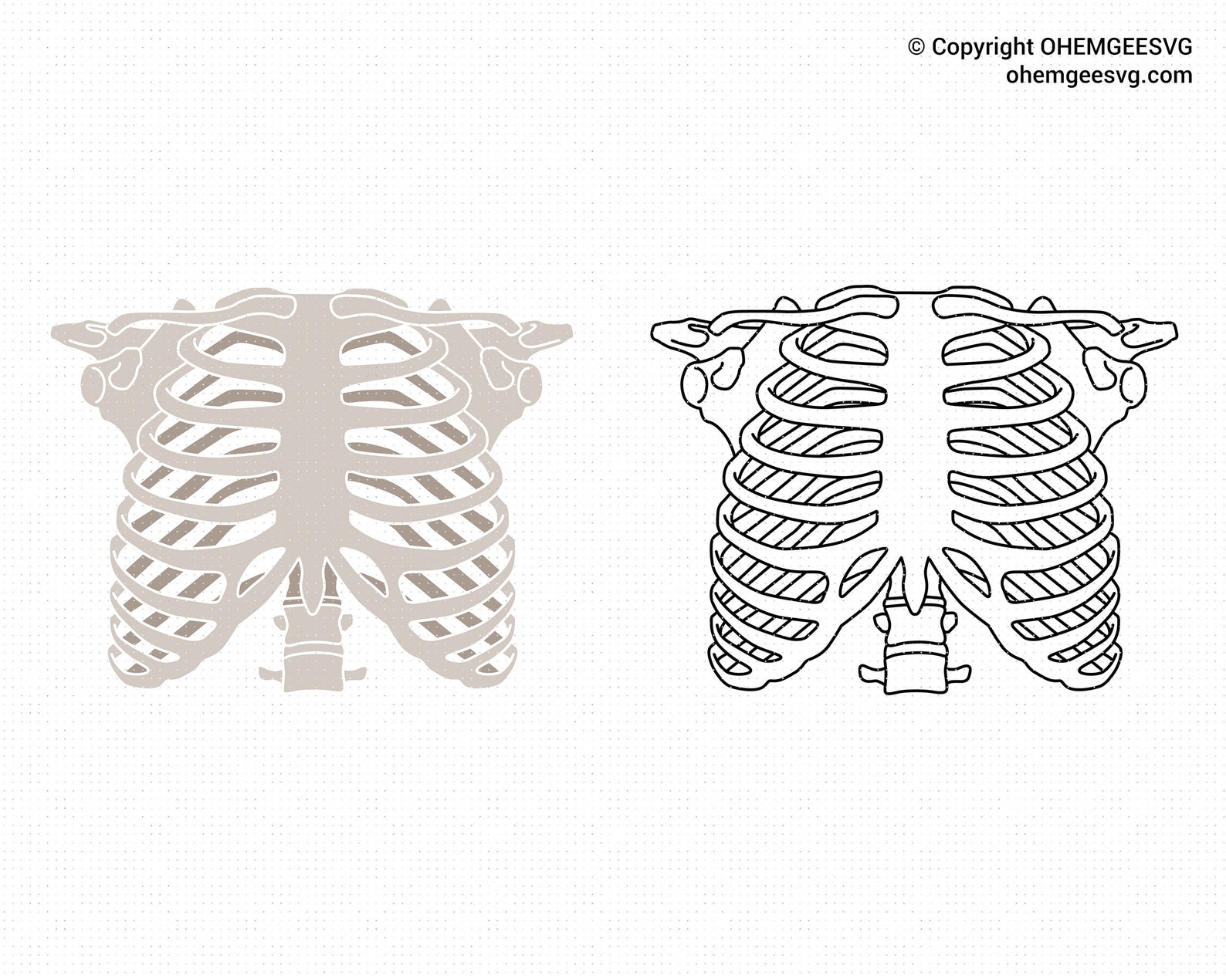Human Rib Cage SVG Skeleton SVG Rib Cage SVG Human Anatomy - Etsy