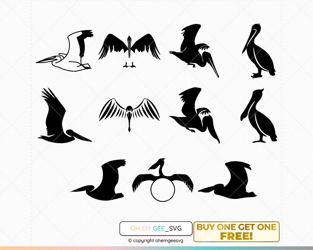 Pelican SVG Bundle, Pelican SVG, Pelican Clipart, Pelican Cricut ...