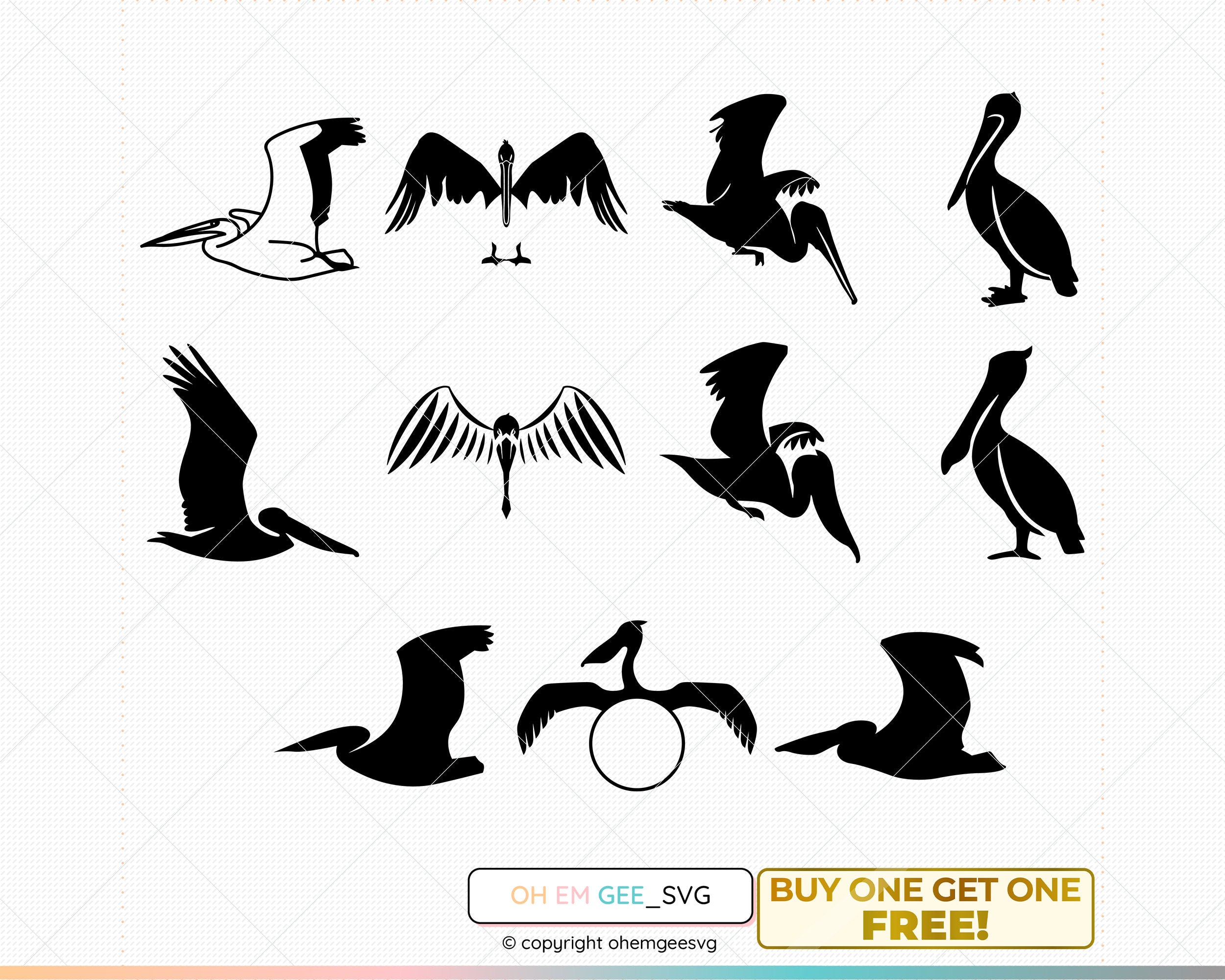 Pelican SVG Bundle, Pelican SVG, Pelican Clipart, Pelican Cricut ...