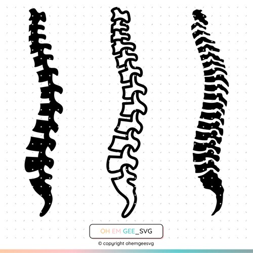 Spine Svg Spinal Cord Png Skeleton Clipart Bones Dxf - Etsy