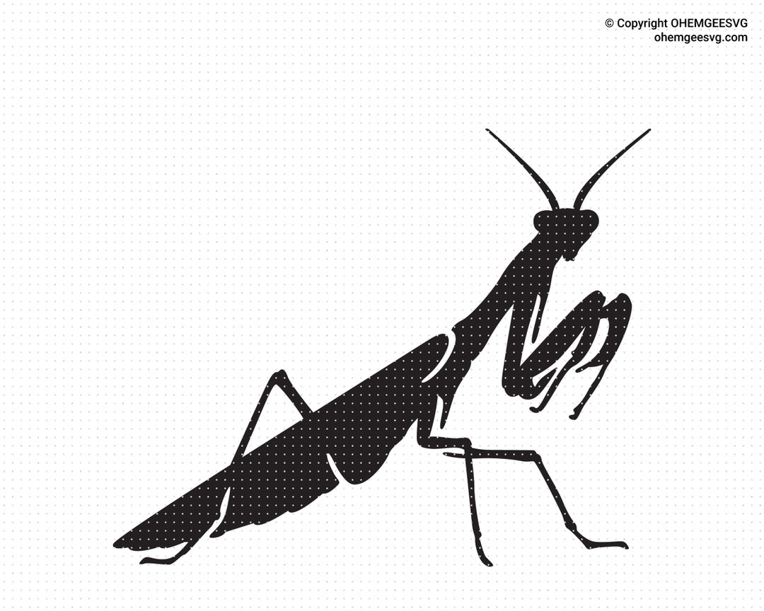 Praying Mantis Svg, Mantis Svg, Insect Svg, Eps, Png, Dxf, Clipart for ...