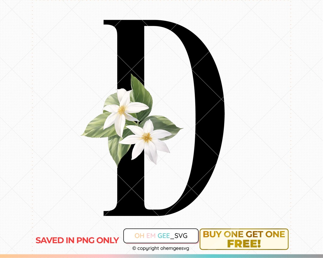 Daisy Letters Clipart: Floral Alphabet PNG (digital Download) - Etsy