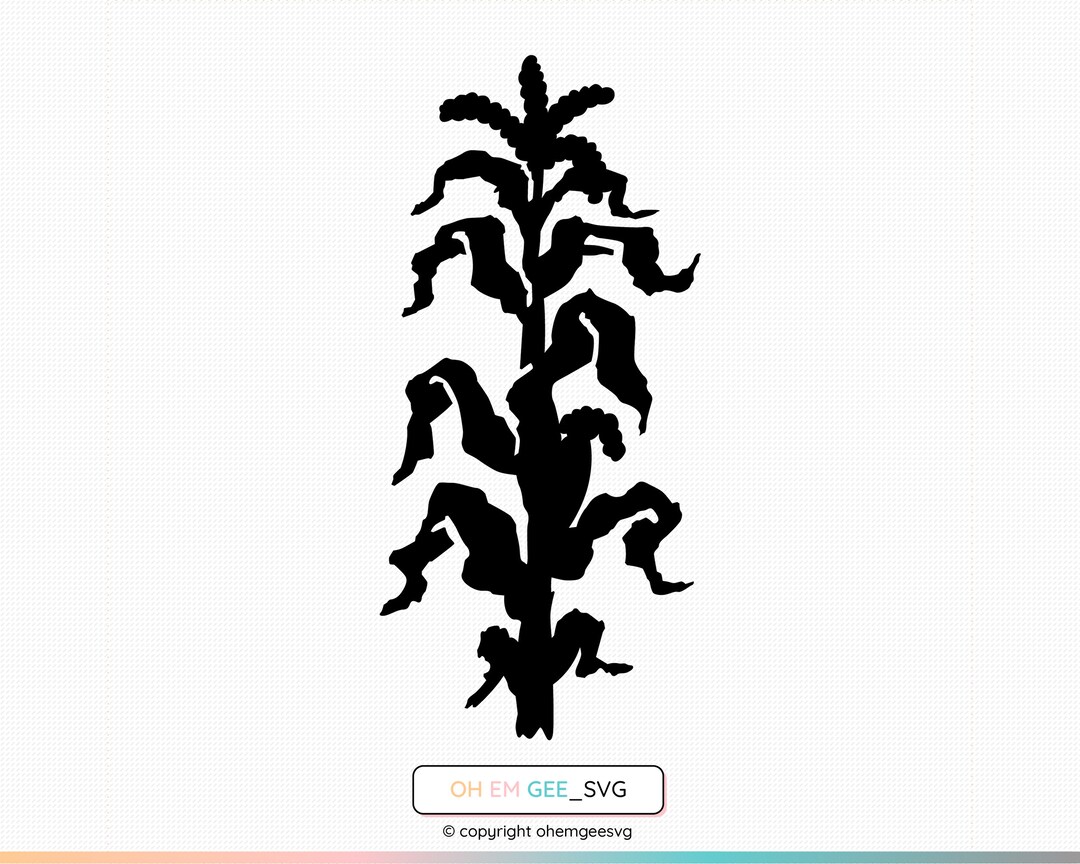 Corn Stalk Saved in Svg and Png Files, Corn Stalk Clipart, Corn Stalk ...
