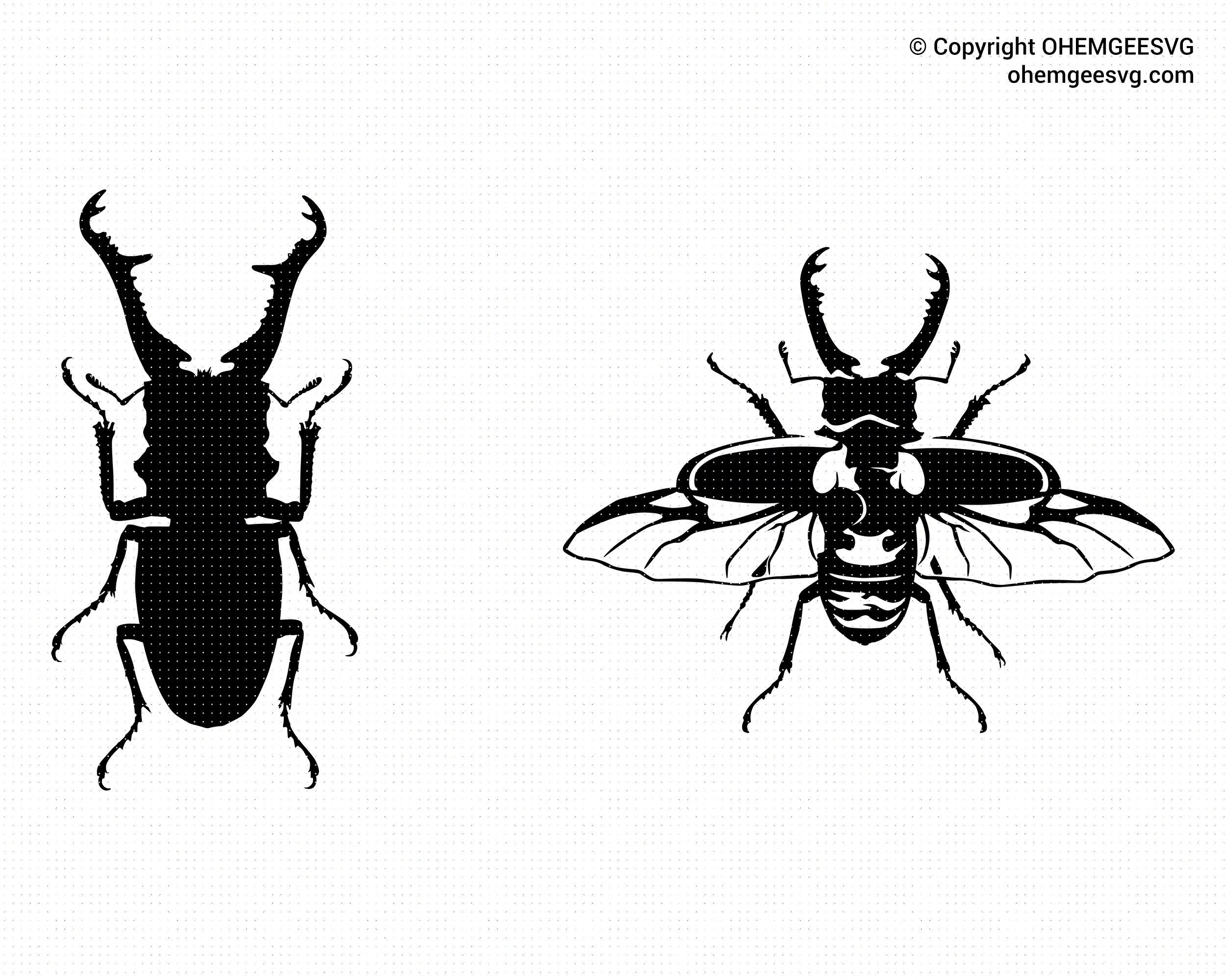Ladybug fly vector silhouette bugs dxf Stag beetle SVG cut file Horned ...