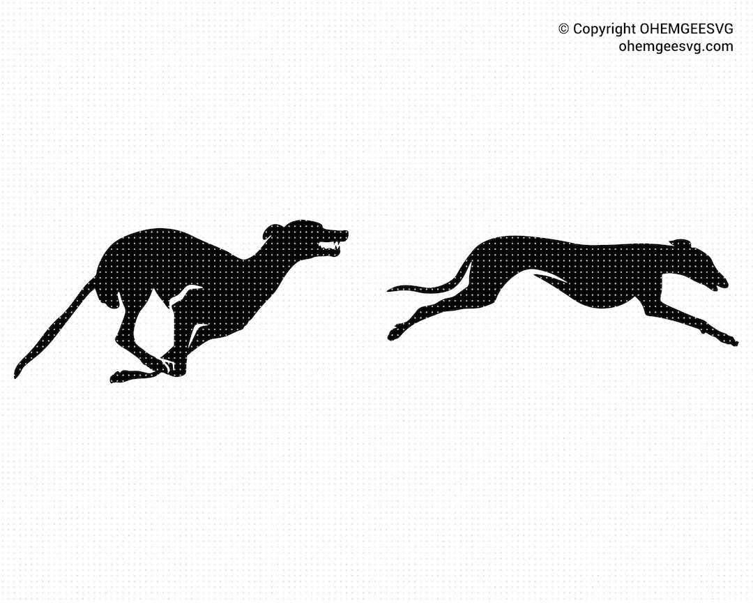 Greyhound Svg, Dog Racing Png, Greyhound Clipart, Greyhound Dog Dxf ...