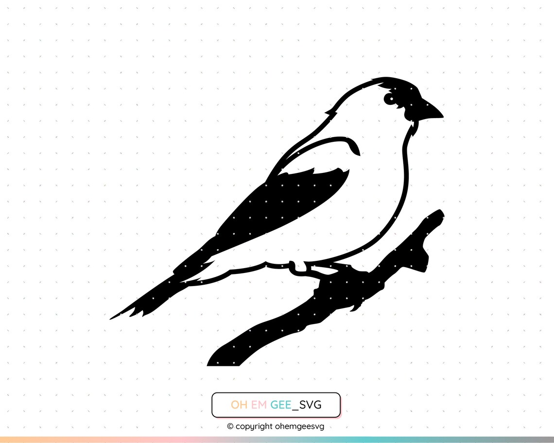 American Goldfinch Svg, Eastern Goldfinch Png, Bird Clipart, American ...