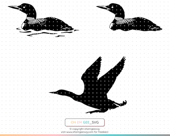 Loon Svg Common Loon Png Loon Bird Clipart Loon Dxf Common - Etsy