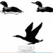 Loon Svg, Common Loon Png, Loon Bird Clipart, Loon Dxf, Common Loon Eps ...