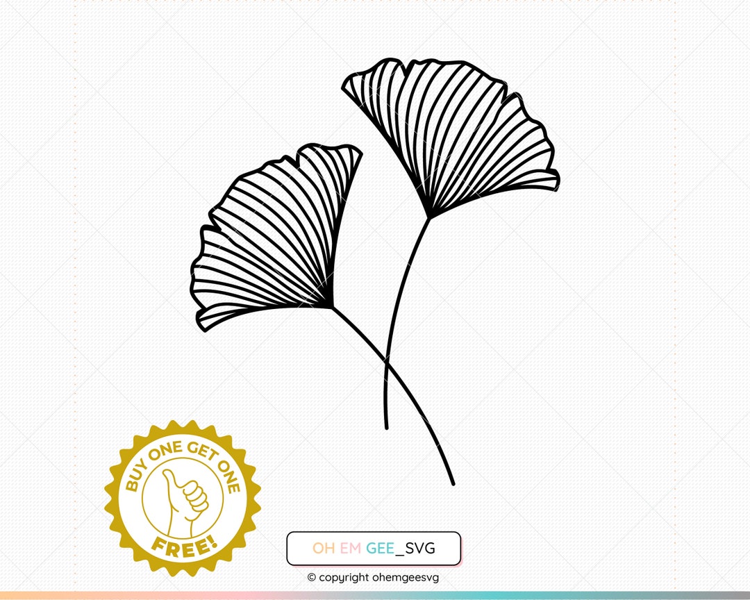 Ginkgo Leaf Svg, Ginkgo Leaves Clipart, Leaf Png, Leaf Dxf, Gingko Eps ...