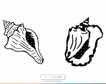 Shell Line Art Digital Clipart Shell Line Drawing Shell Svg - Etsy