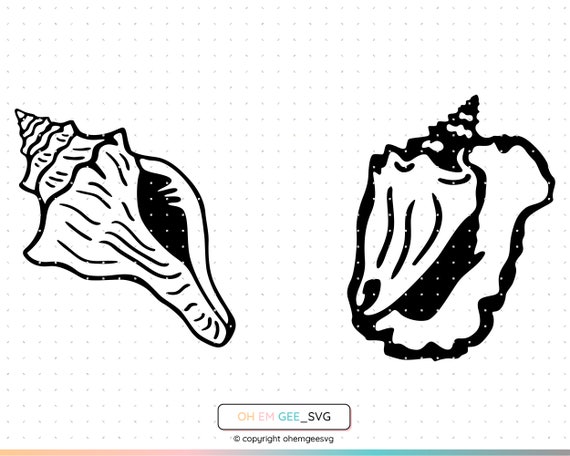 Conch Shell Clip Art