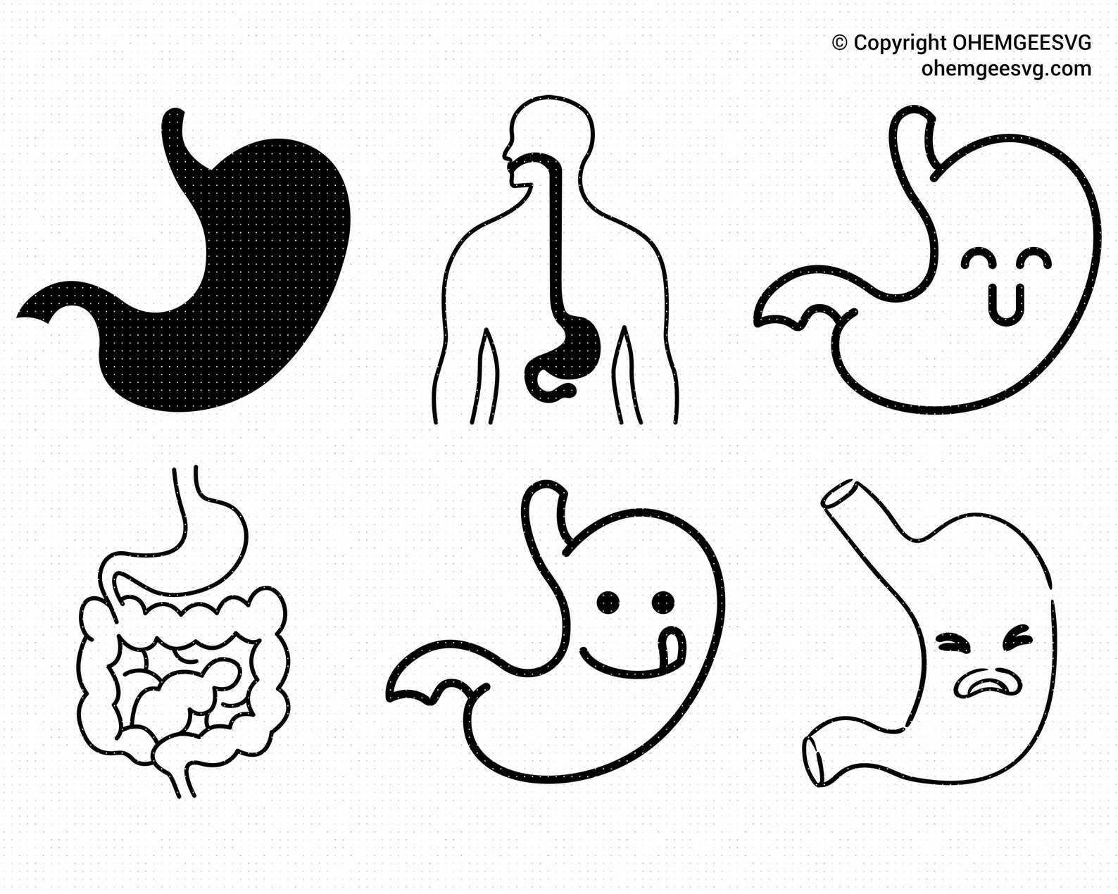 Stomach Svg, Human Organ Png, Stomach Clipart, Anatomy Dxf, Body Organ ...
