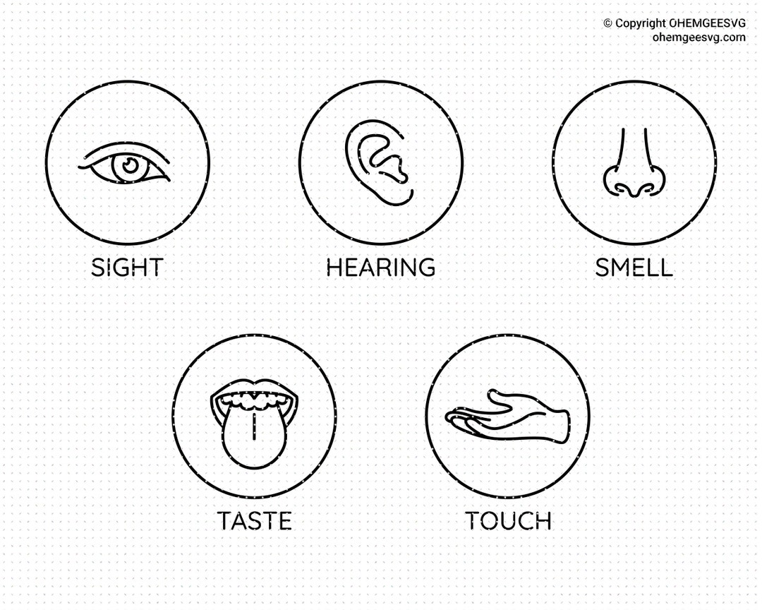Five Senses Icons Svg, Human Senses Png, Sight Clipart, Hearing Dxf ...