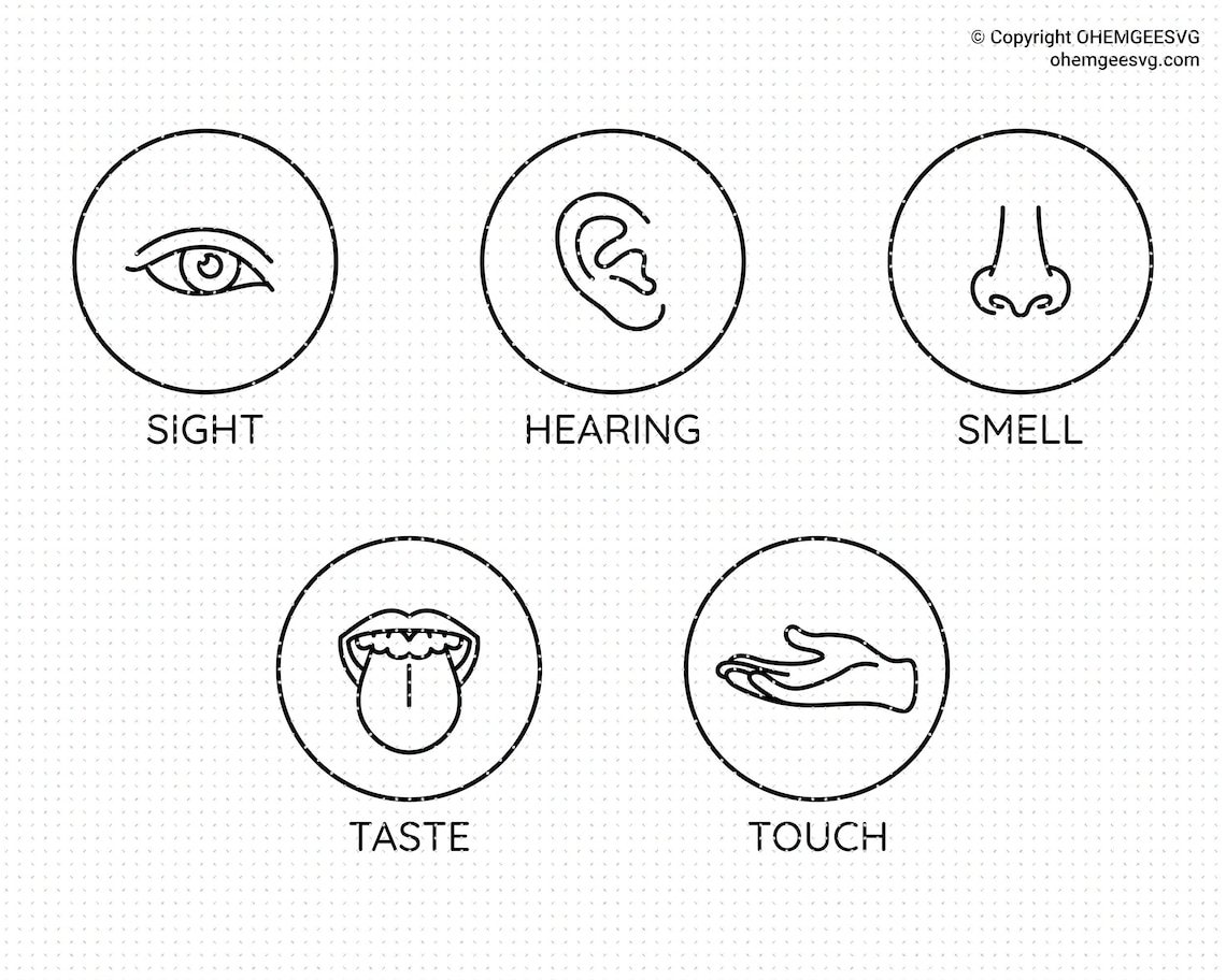 Five Senses Icons Svg Human Senses Png Sight Clipart - Etsy