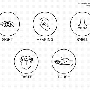 Sense Of Hearing Clipart Black And White