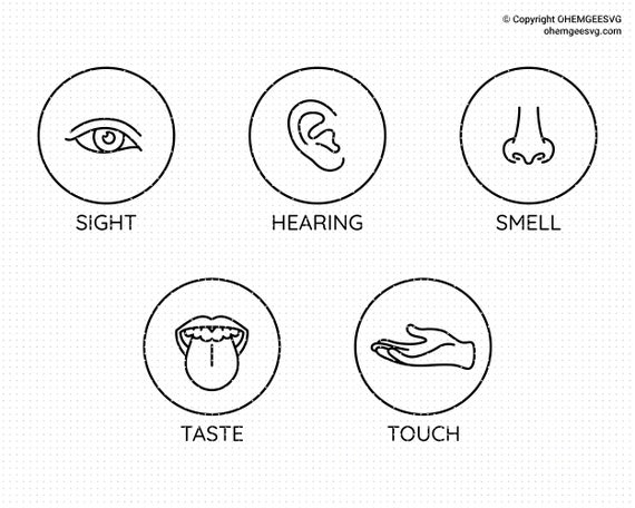 Sense Of Sight Clipart Black And White