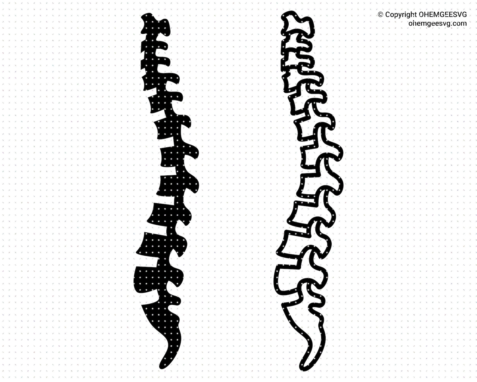 Spine Svg Spinal Cord Png Skeleton Clipart Bones Dxf | Etsy