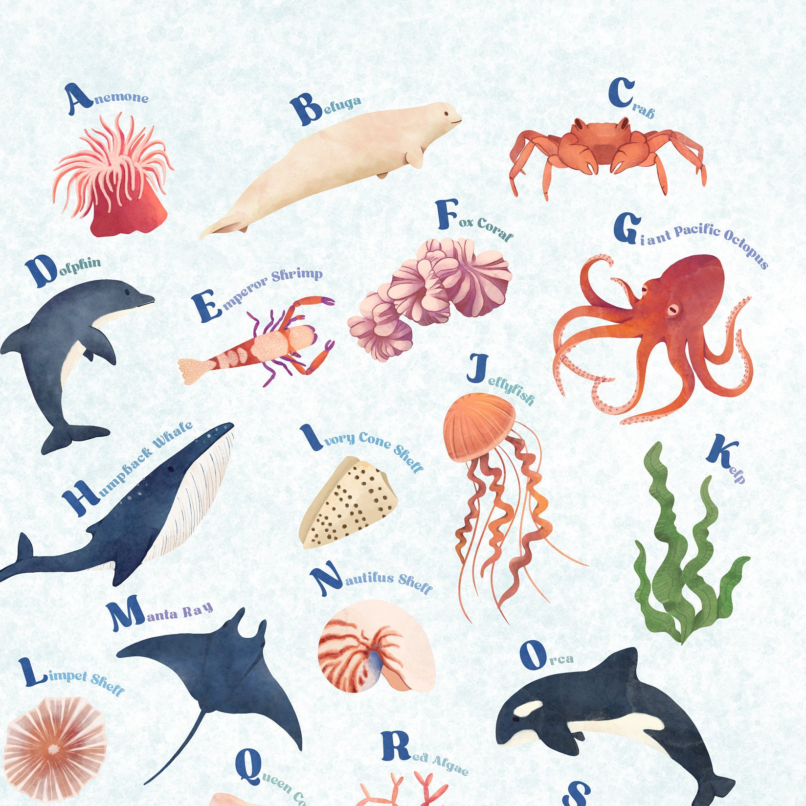 Ocean Alphabet Poster Printable Wall Art ABC Poster Kids - Etsy