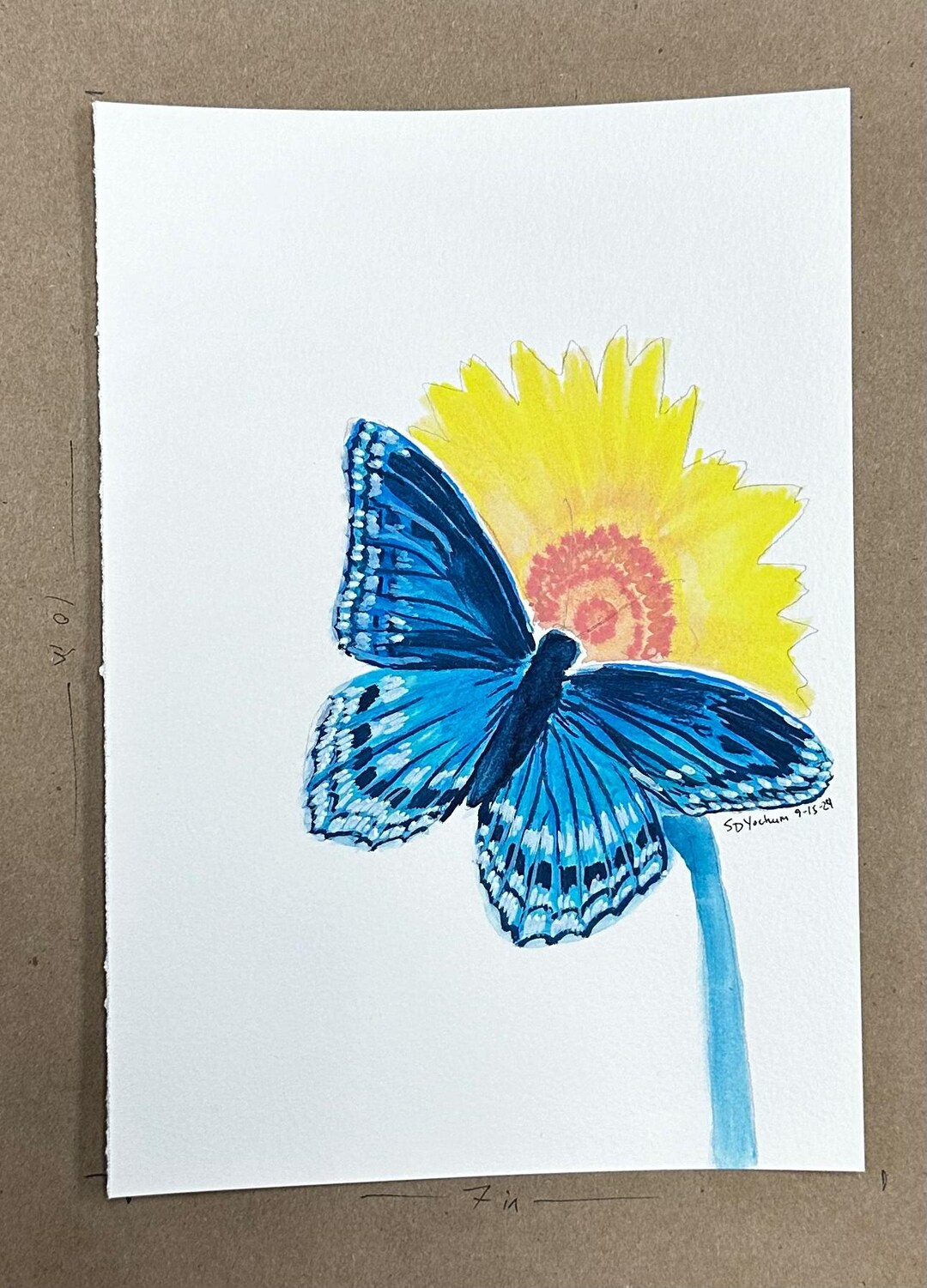 Butterfly and Flower Original Mixed Media Art POSCA and Pencil - Etsy