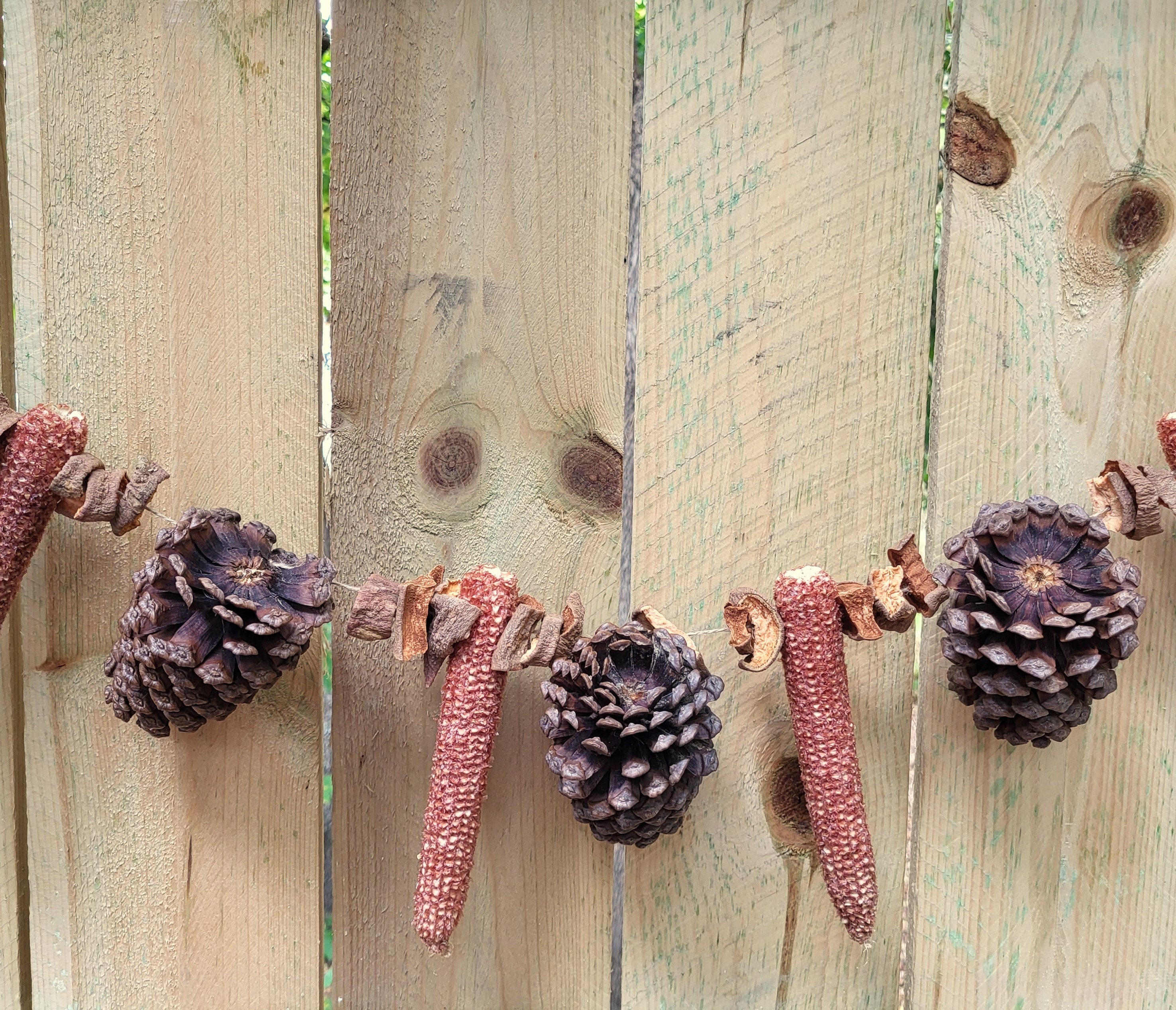 Primitive Rustic Dried Corn Cob Pine Cone Sweet Potato Garland - Etsy